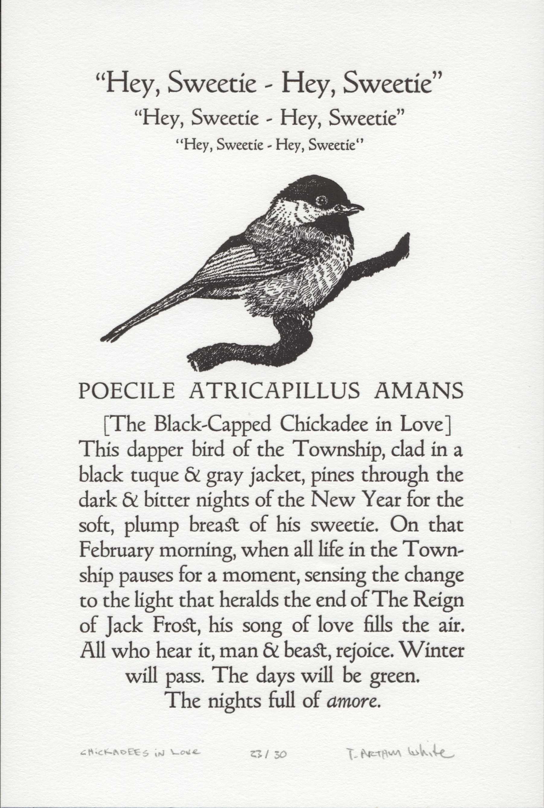 (Shop) Chickadees in Love – The Sign of the Two Ravens